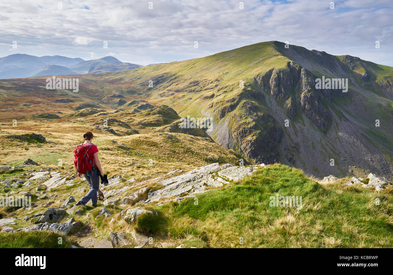 A hiker descending from High Spy towards the summit of Dale Head in the ...