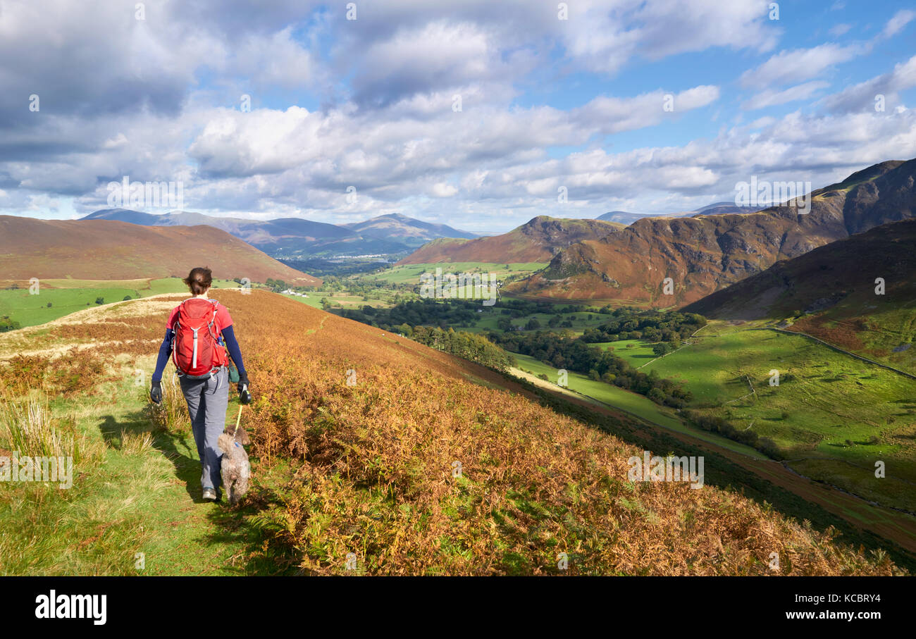 A hiker walking down towards High Snab Bank from the summit of Robinson ...