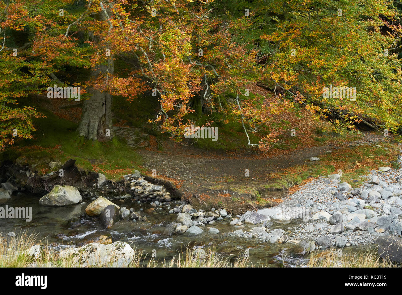 Grisedale beck hi-res stock photography and images - Alamy