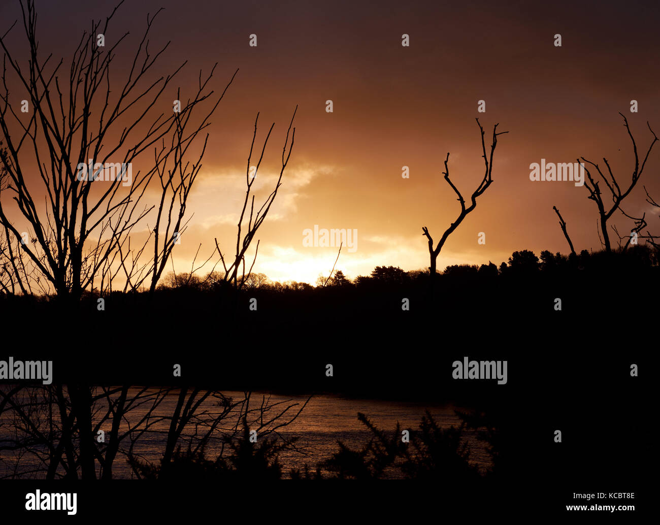 Dawn over the River Tyne, Newcastle upon Tyne, England, UK Stock Photo ...