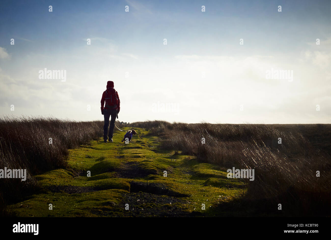 A hiker exploring the English Countryside, Muggleswick Common near ...
