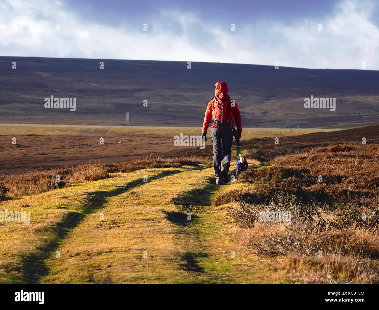 A hiker exploring the English Countryside, Muggleswick Common near ...