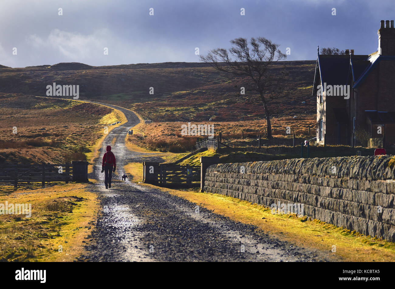 Edmundbyers hi-res stock photography and images - Alamy