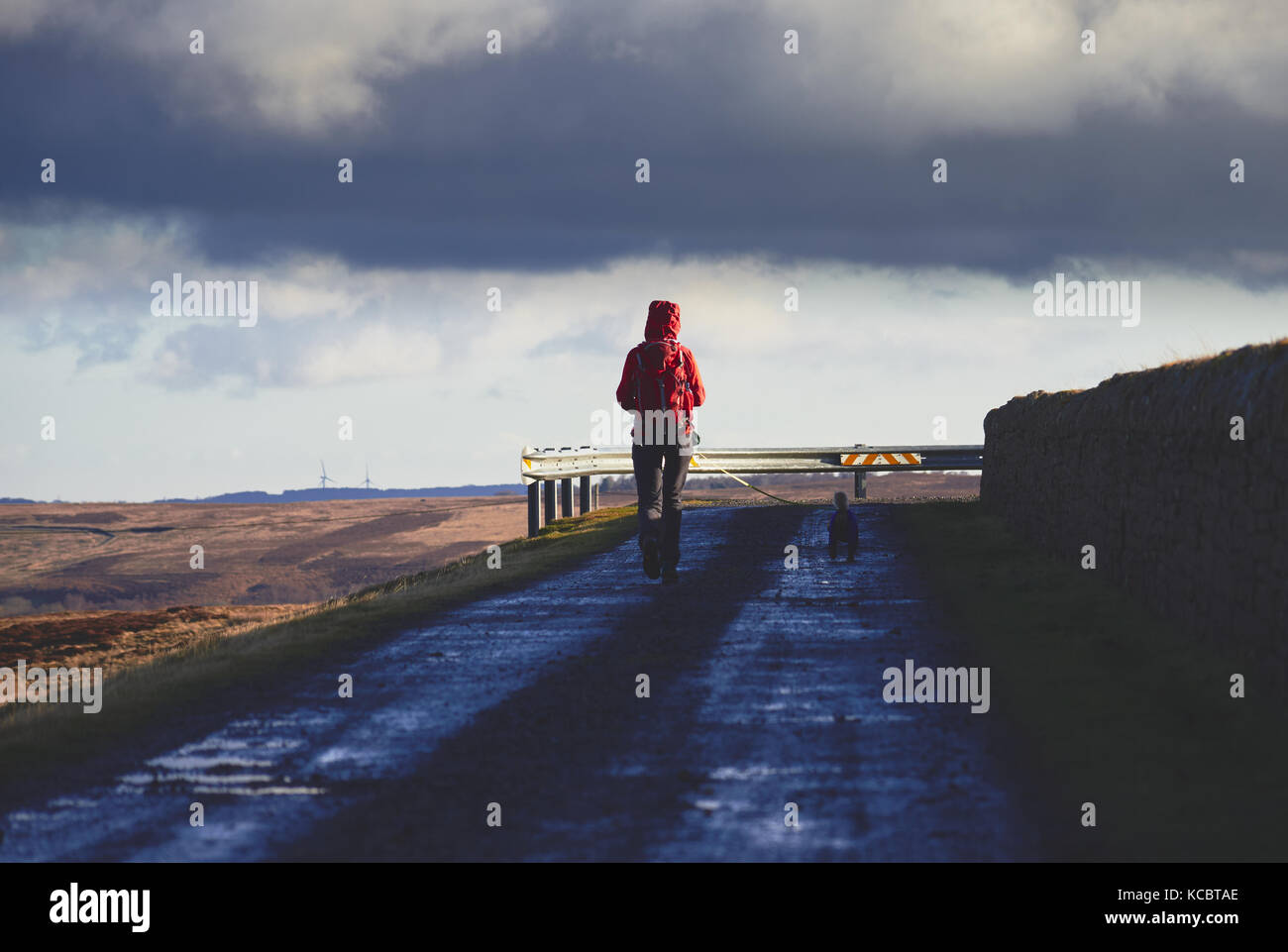 A hiker exploring the English Countryside, Muggleswick Common near ...