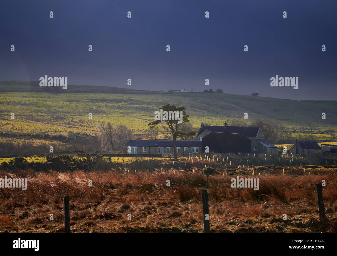 Muggleswick common hi-res stock photography and images - Alamy