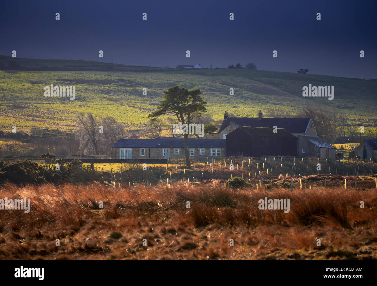 Farm buildings on Muggleswick Common near Edmundbyers, England, UK ...