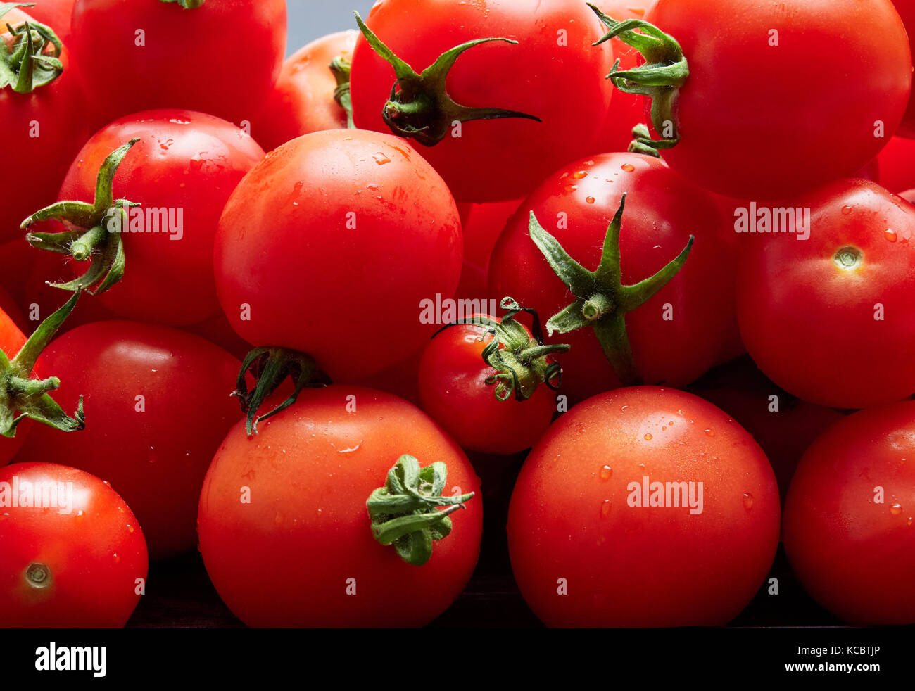 A side view, 45 degree angle view of a tray of bright red ripe tomatoes ...