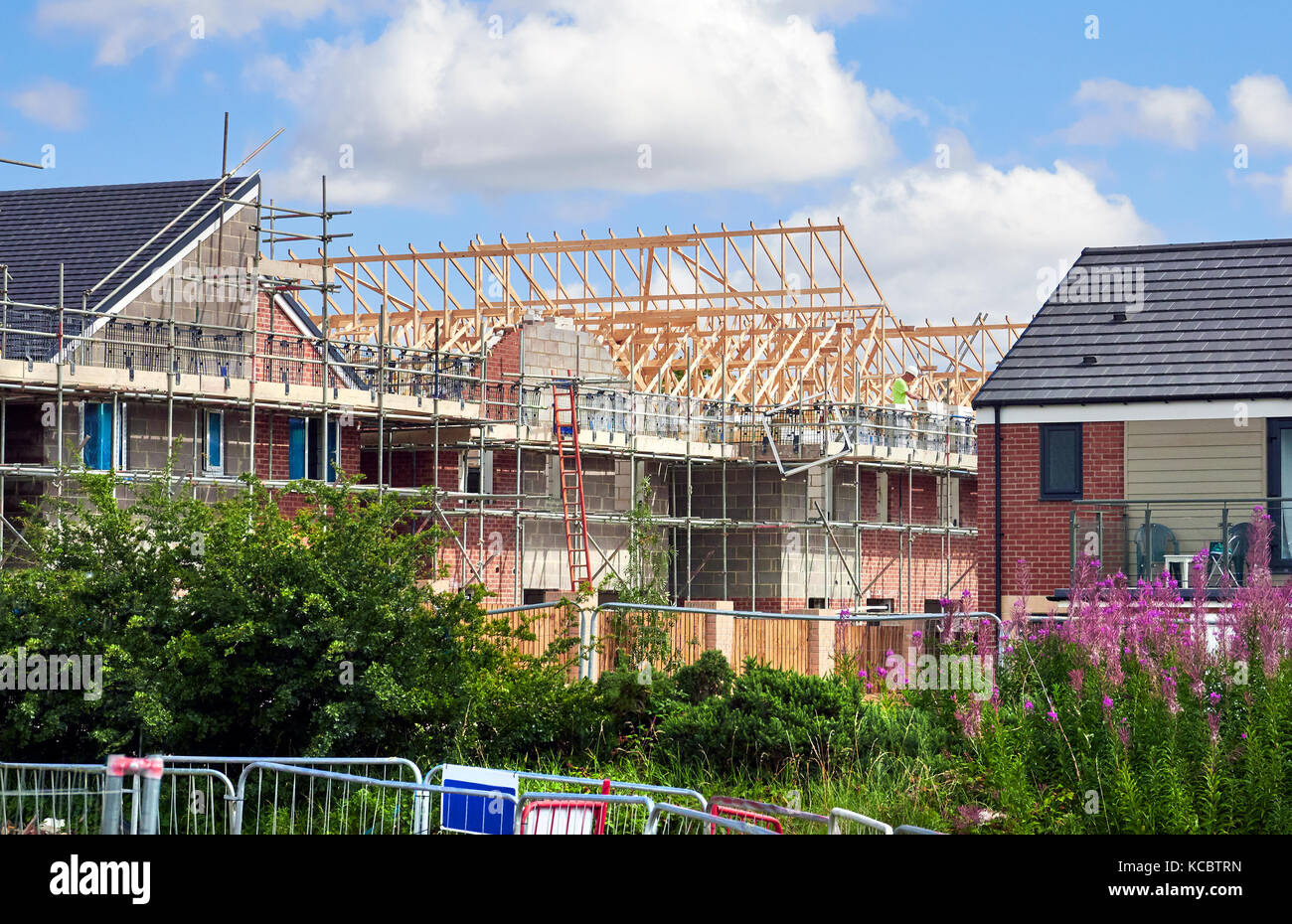 Newly built homes in a residential estate in England Stock Photo - Alamy