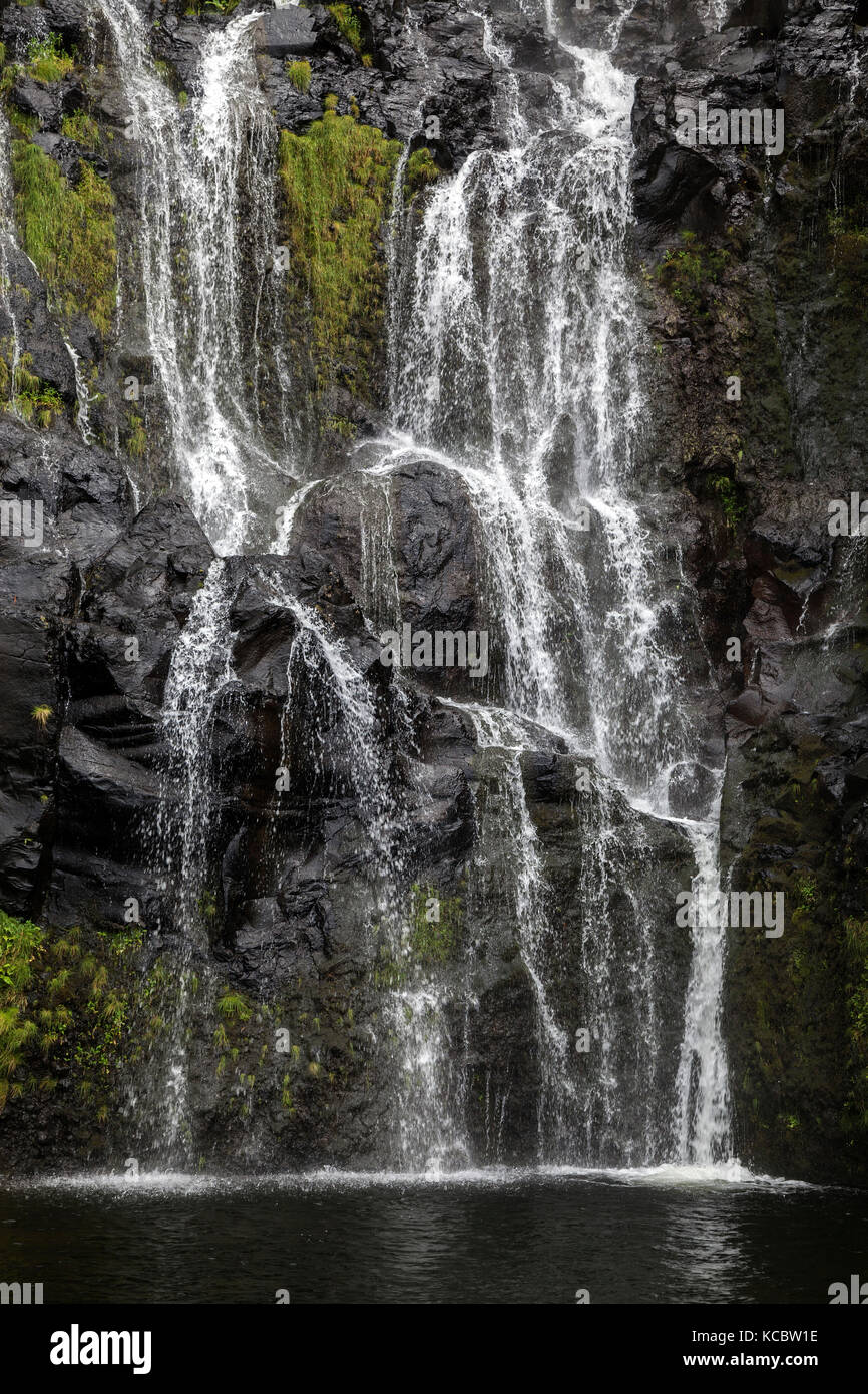 Waterfall Poca do Bacalhau, Faja Grande, Island of Flores, Azores ...