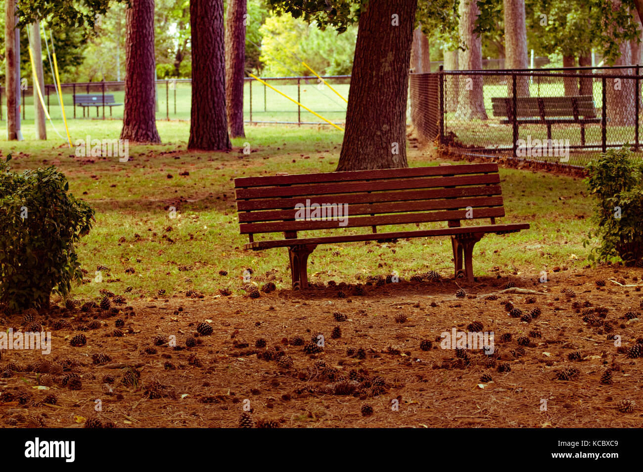 Lone bench in the park Stock Photo - Alamy