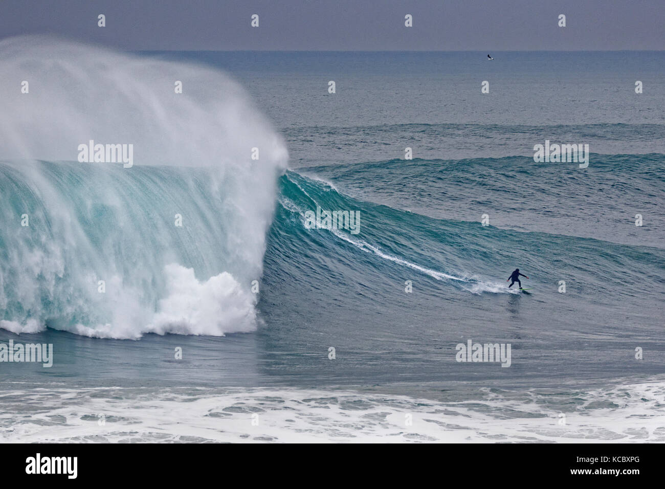 Surfers in a wave, Nazare, Portugal Stock Photo - Alamy