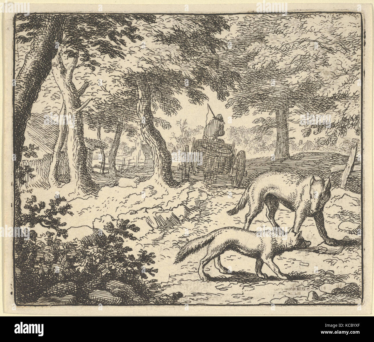 Wolf eating fish hi-res stock photography and images - Alamy