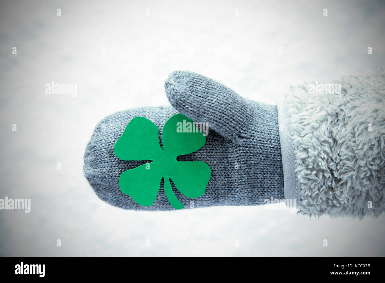 Wool Glove With Green Four Leaf Clover, Snow Background Stock Photo - Alamy