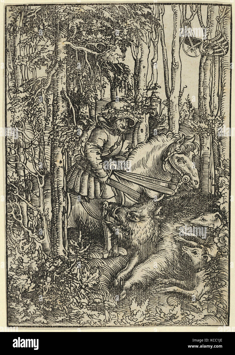 German boar hunting hi-res stock photography and images - Alamy