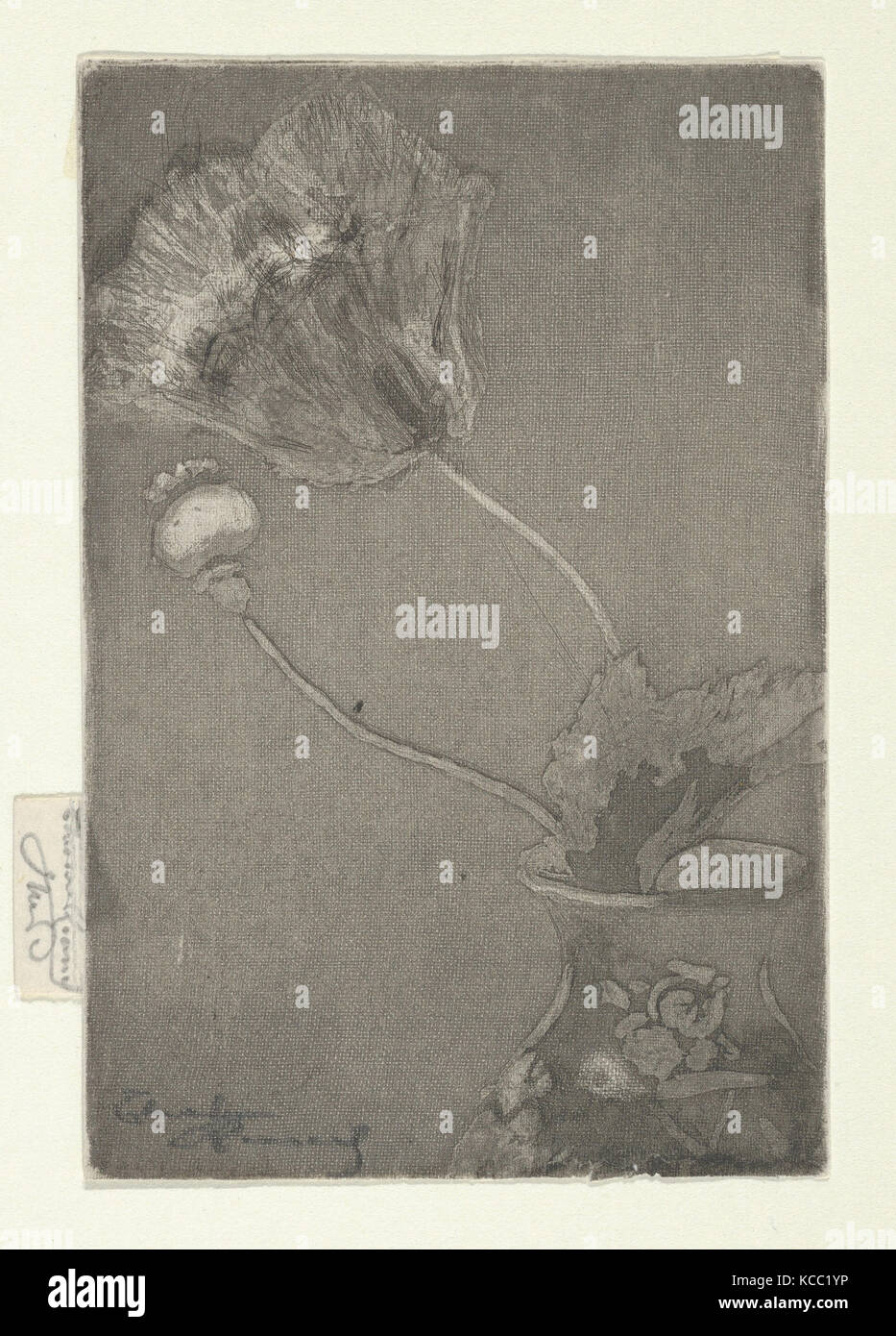 Poppy in a Vase, 1890–95, Softground etching, aquatint and drypoint ...