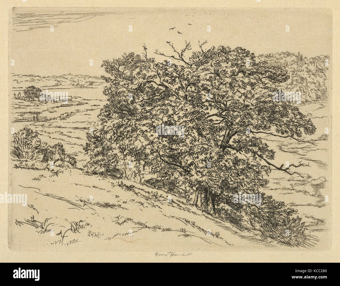 Drawings and Prints, Print, Dromore Oaks, Artist, Ernest Haskell ...