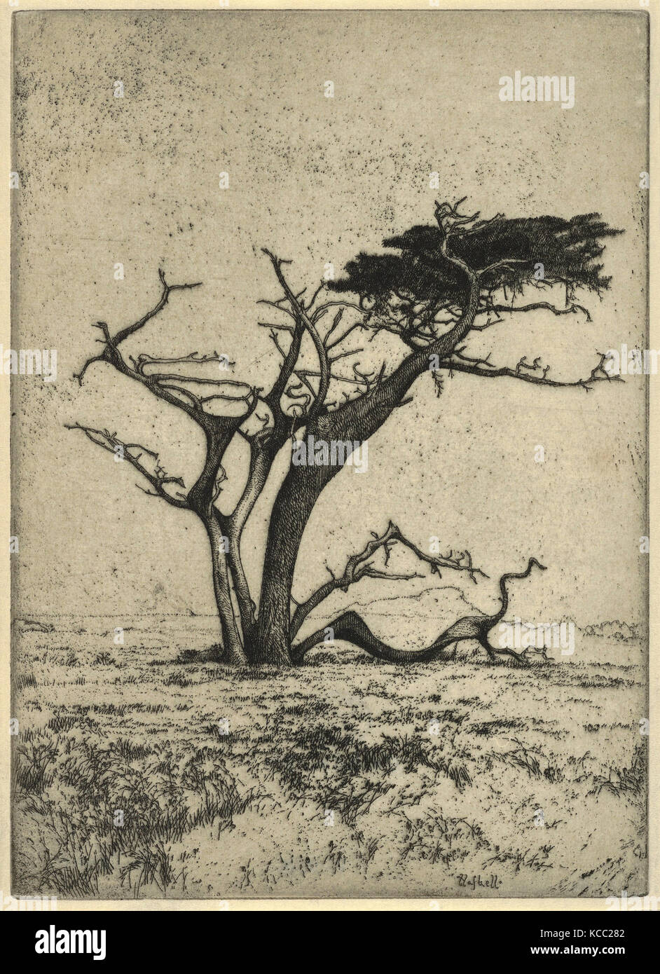 Drawings and Prints, Print, Antlers, Artist, Ernest Haskell, American ...