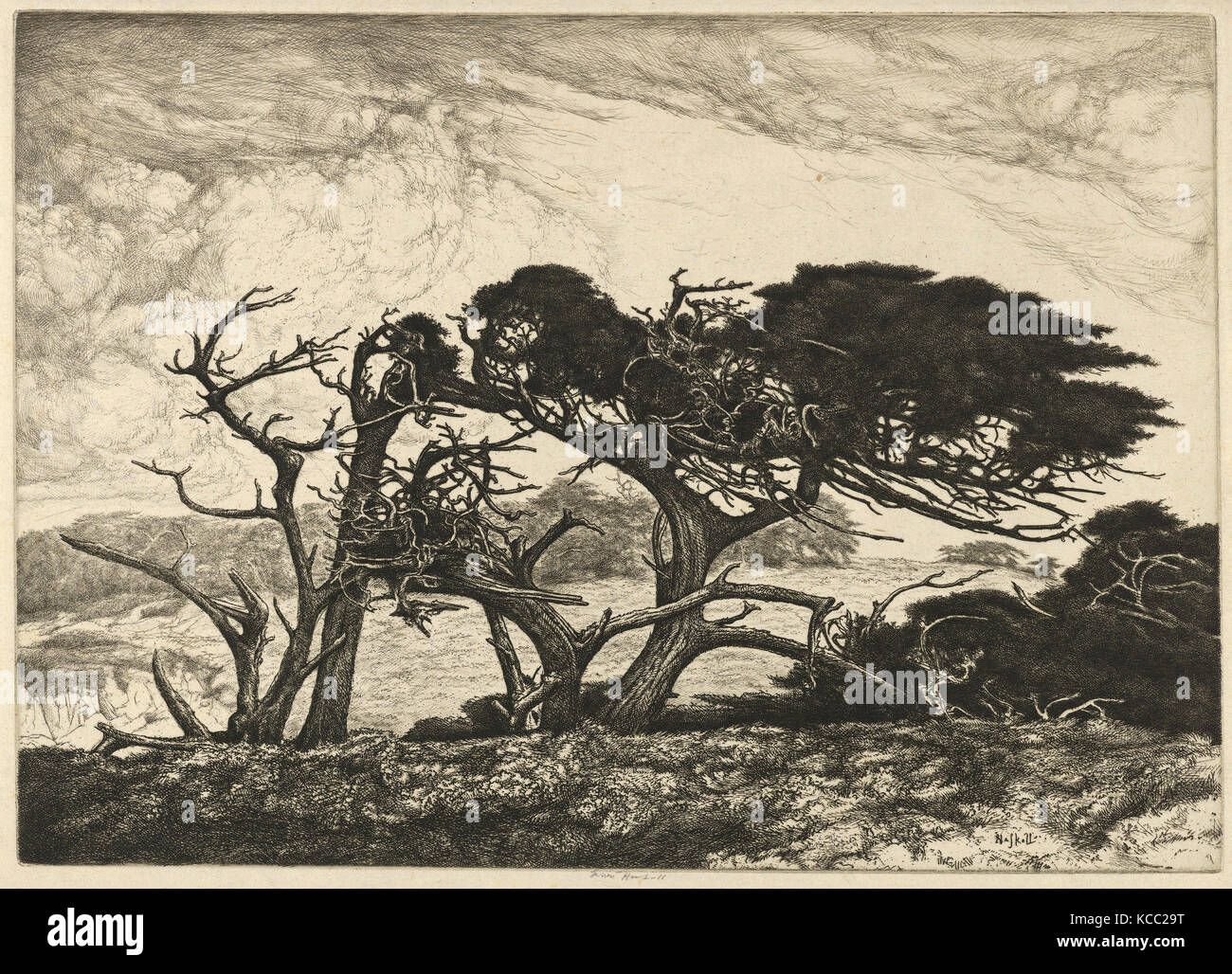 Drawings and Prints, Print, El Torro, Artist, Ernest Haskell, American ...