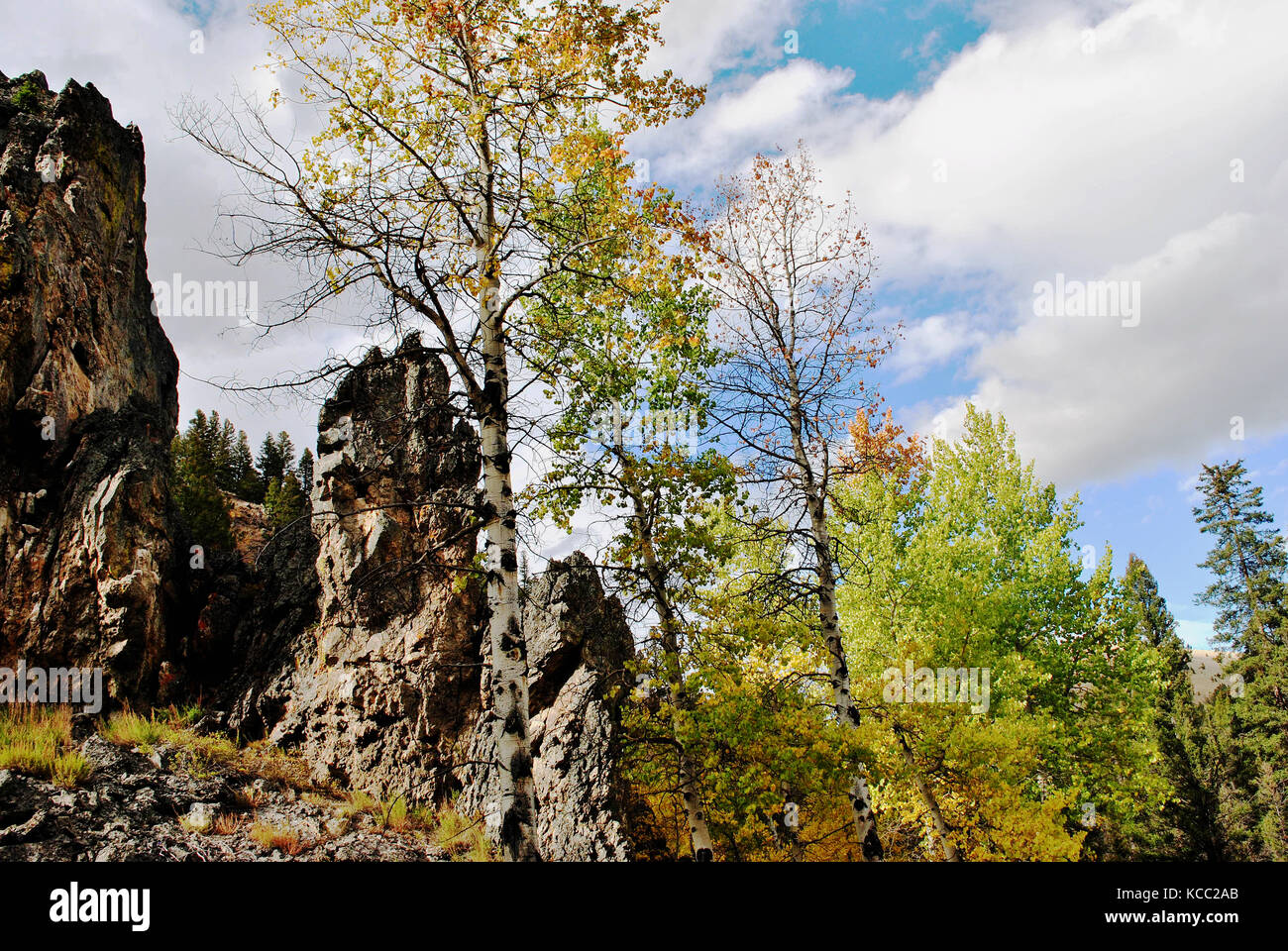 Wise river montana hi-res stock photography and images - Alamy