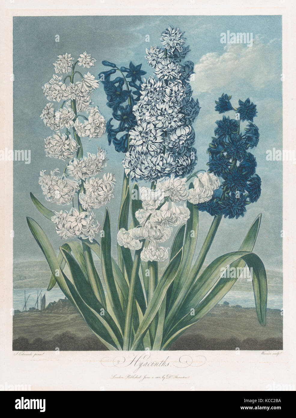 Sydenham teak edwards hi-res stock photography and images - Alamy