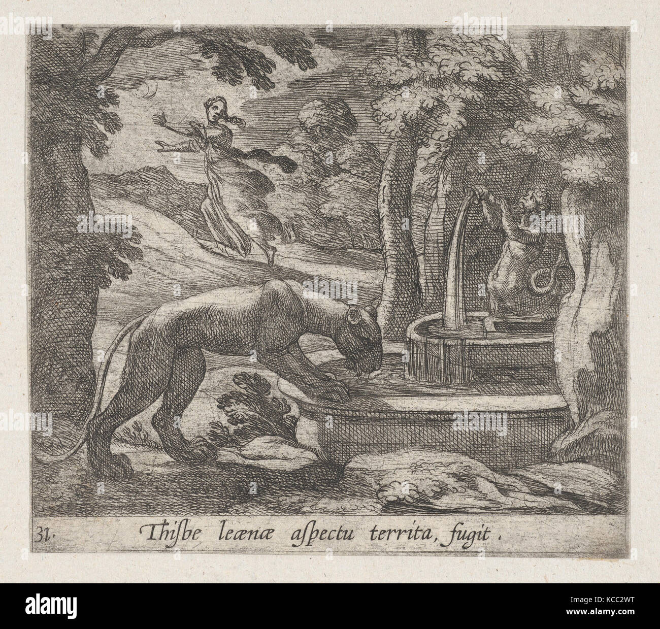 Thisbe metamorphoses hi-res stock photography and images - Alamy