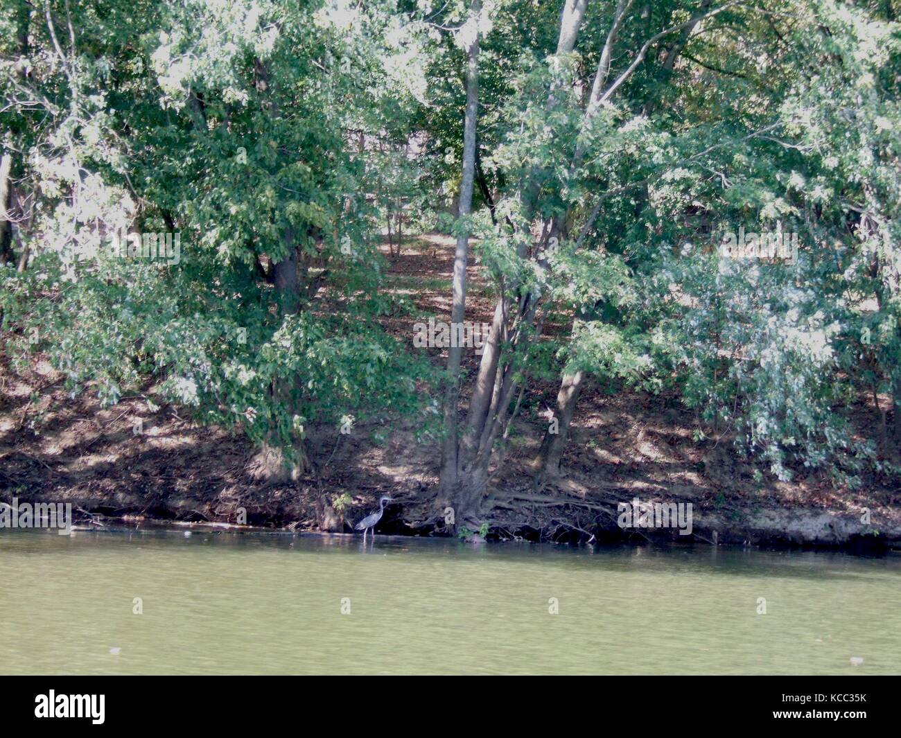 Kentucky River Shoreline Stock Photo - Alamy