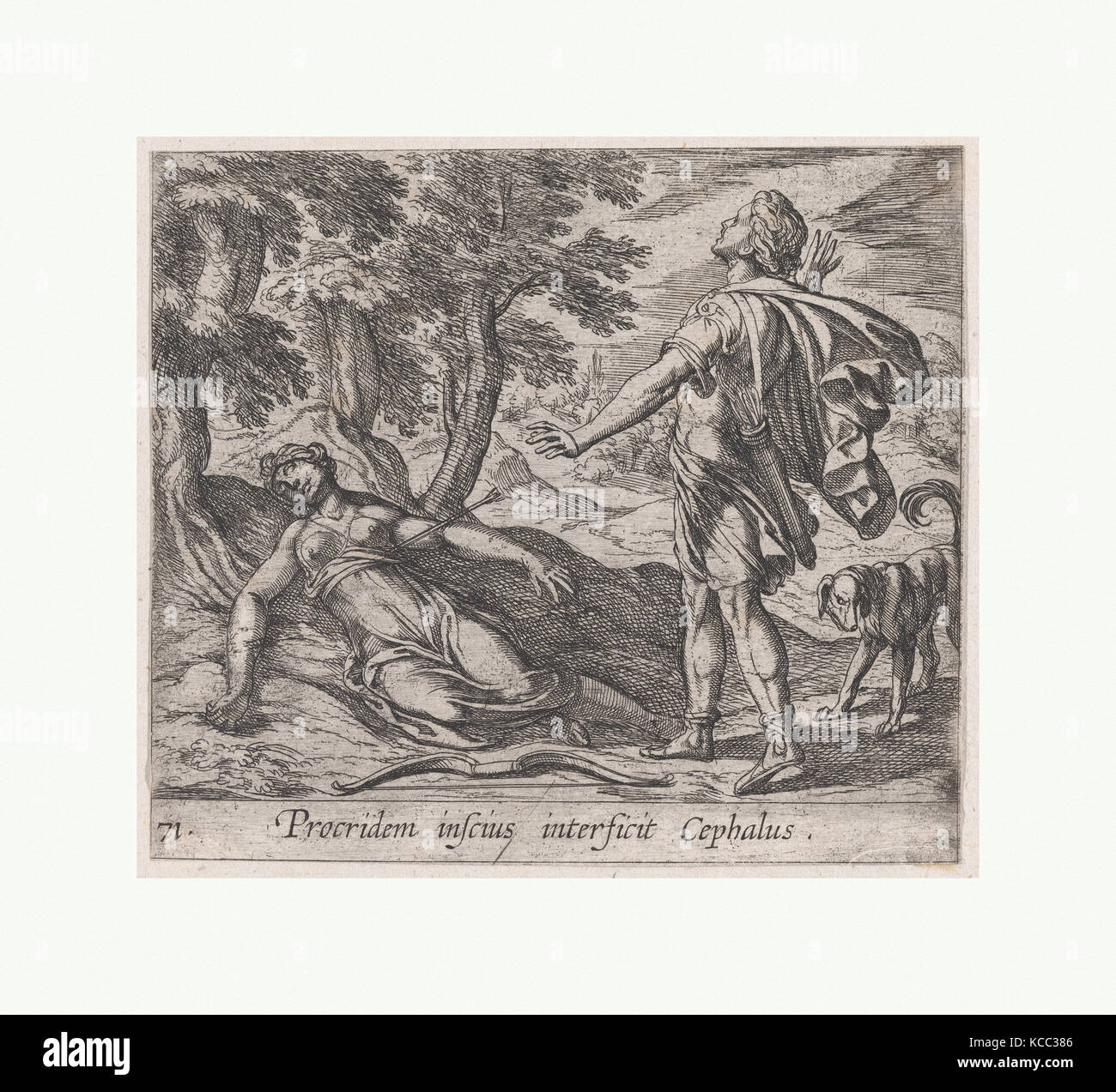 Procris killed hi-res stock photography and images - Alamy