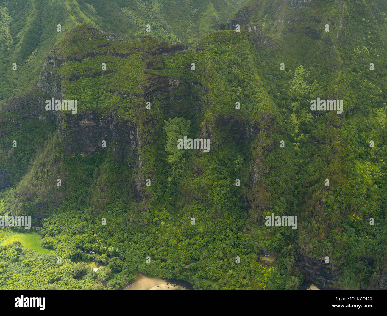 Hawaii tropical fog forest hi-res stock photography and images - Alamy