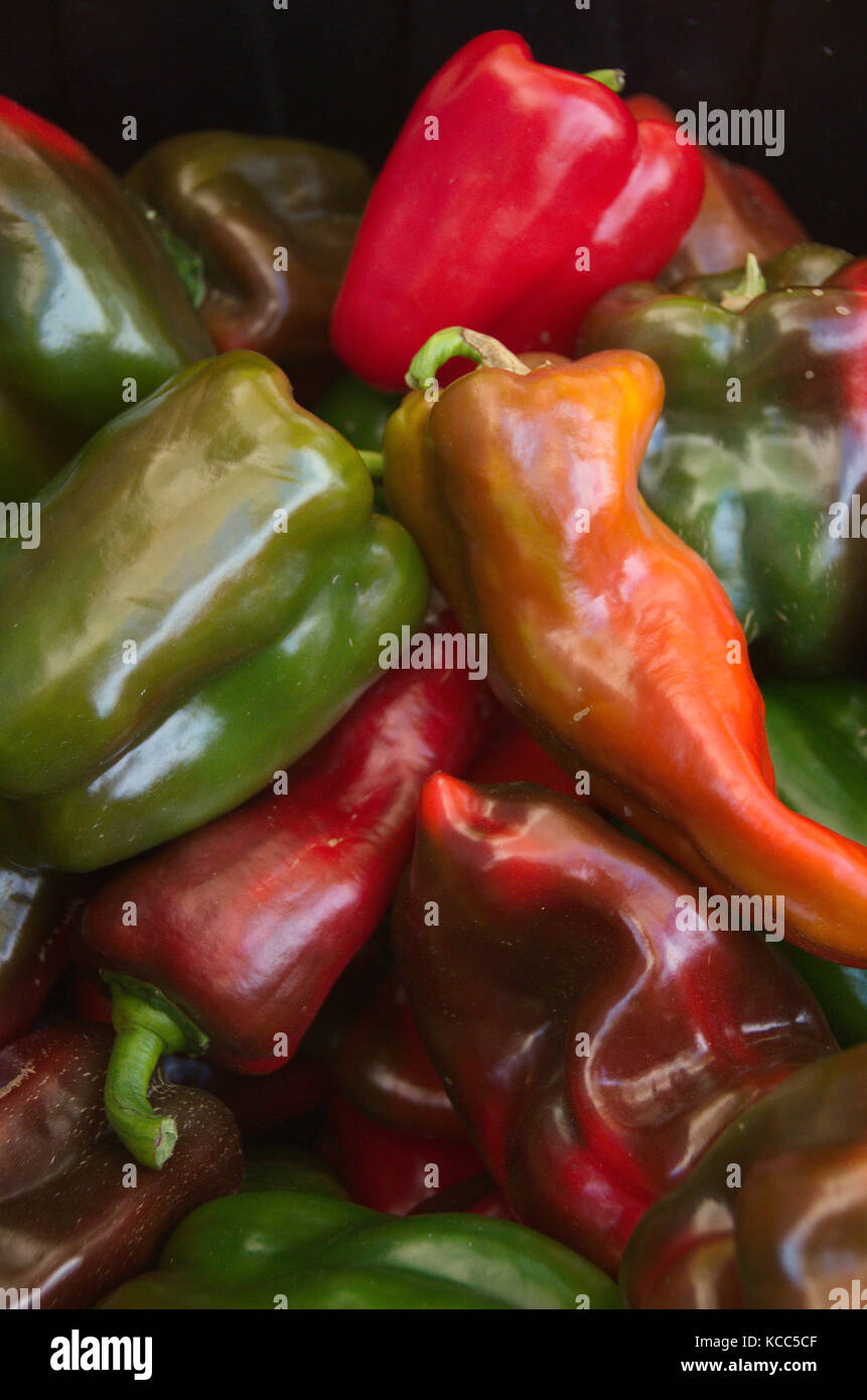 Piments biologiques hi-res stock photography and images - Alamy