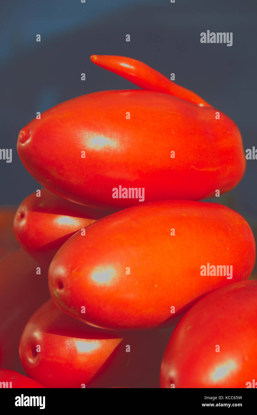 Italian Tomato Red Bulk Farmers Market Organic Fresh Vegetables Stock ...