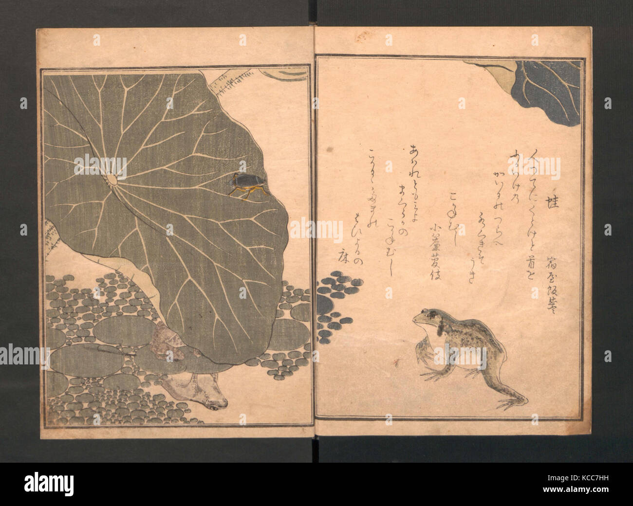 画本虫撰, Picture Book of Crawling Creatures (The Insect Book) (Ehon mushi ...