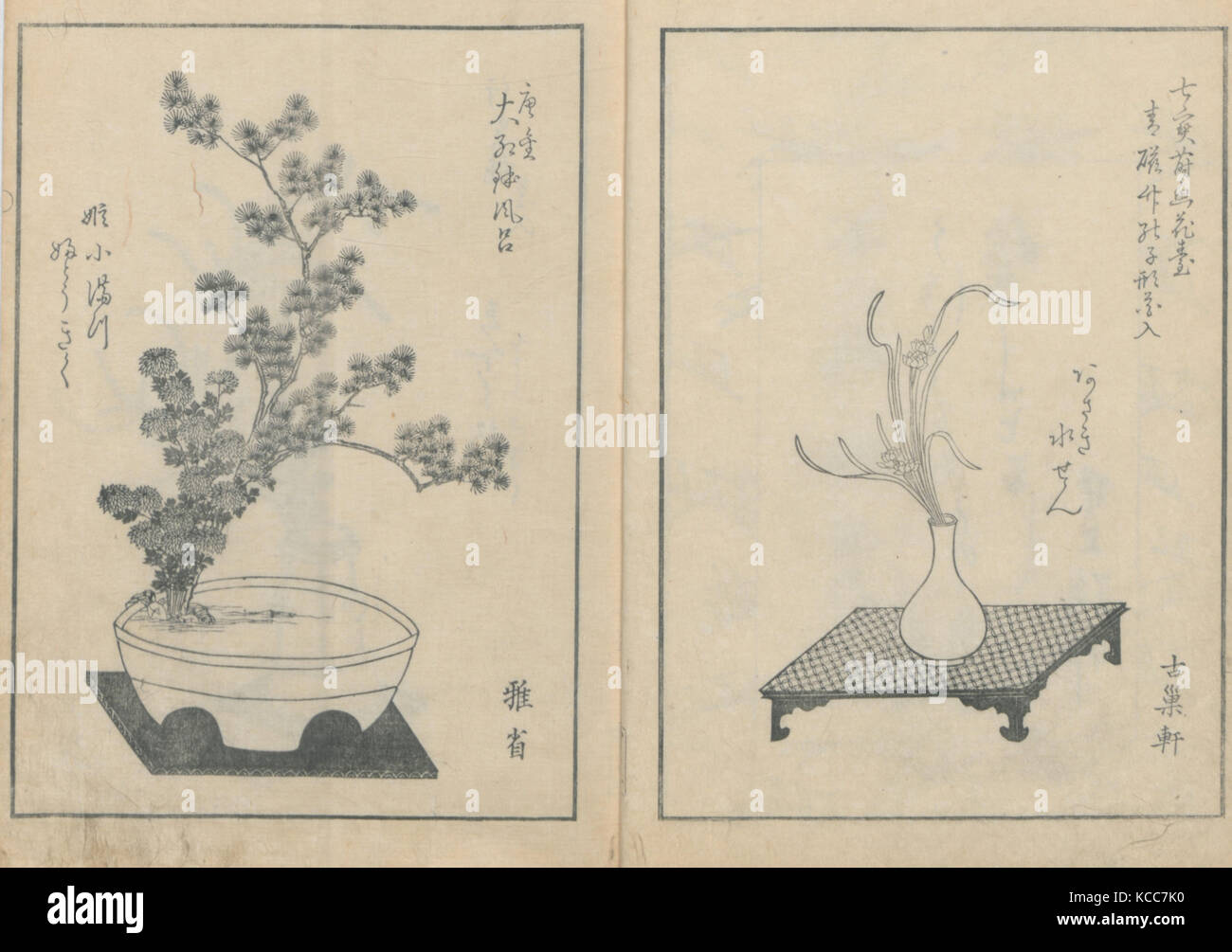 A Book on Flower Arrangement: Hare's-Foot Fern, Vols. 2 and 3, Yoshida ...