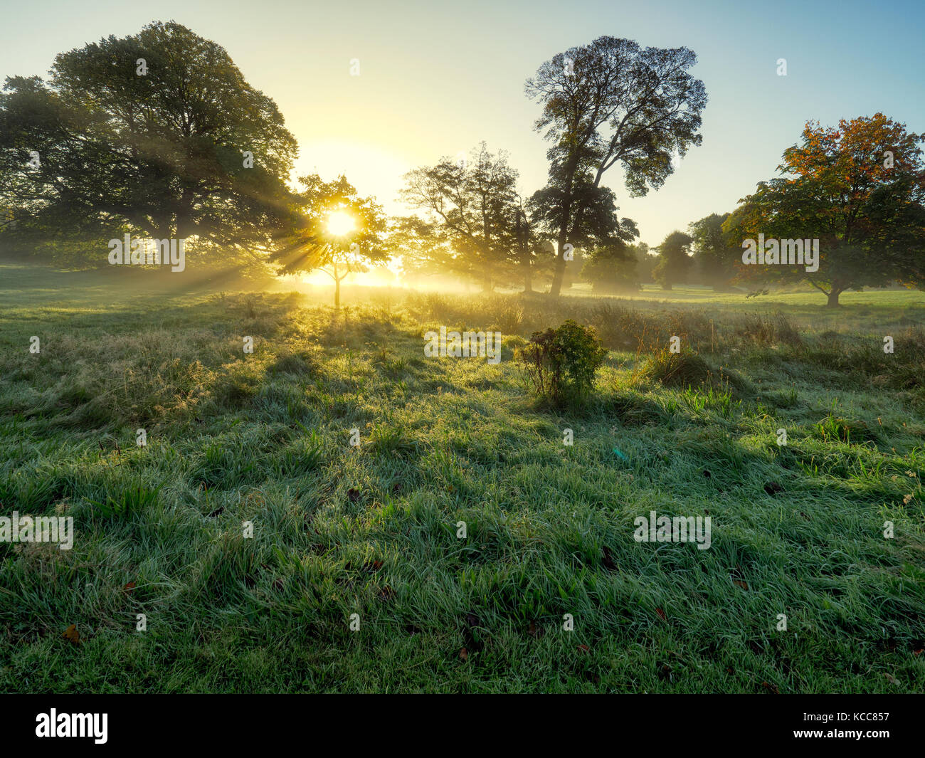 Early Autumn countryside morning,Northern Ireland Stock Photo - Alamy