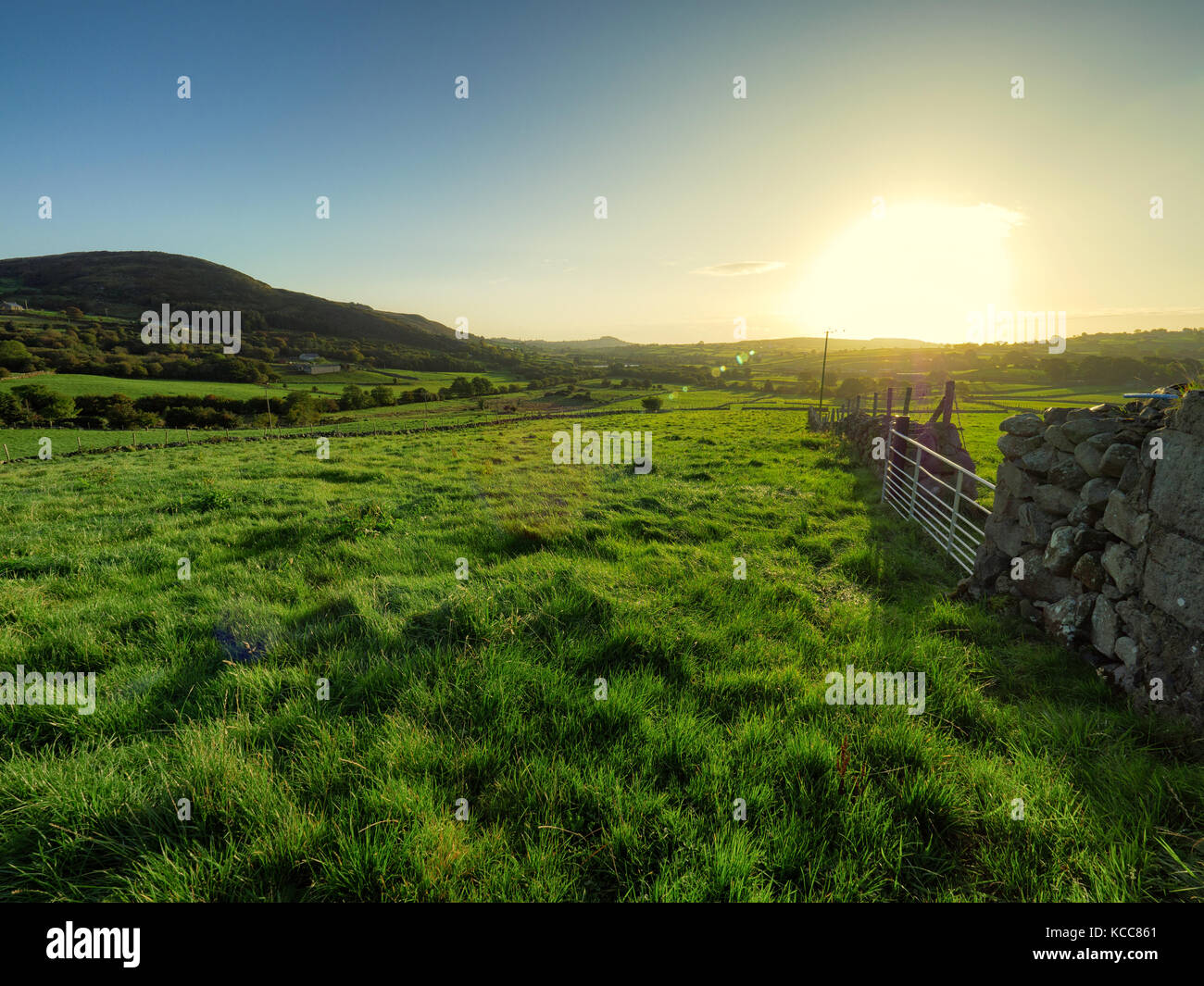 Early Autumn countryside morning,Northern Ireland Stock Photo - Alamy