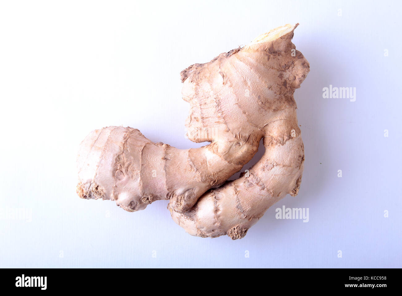 fresh ginger and garlic isolated on white background Stock Photo - Alamy