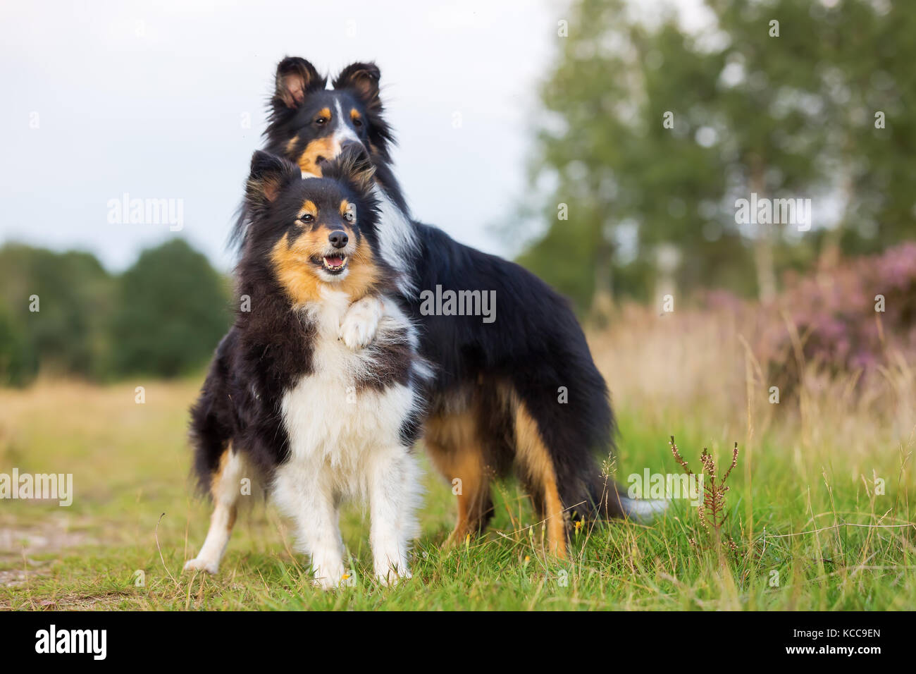 Another picture hi-res stock photography and images - Alamy