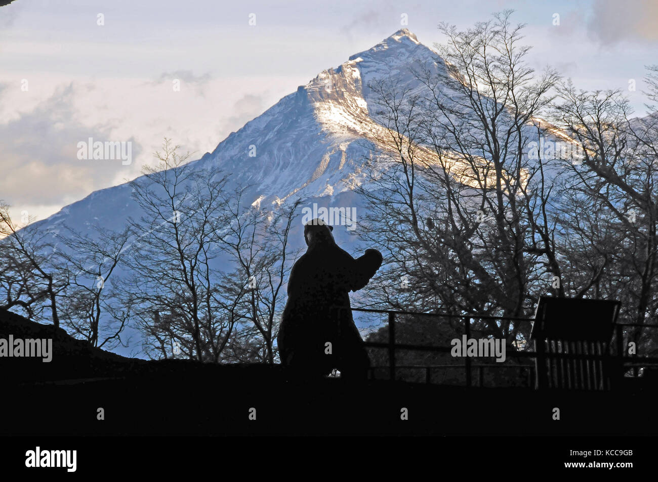 Milodón cave hi-res stock photography and images - Alamy