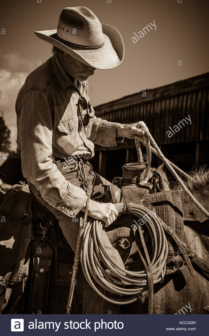 Lasso Saddle High Resolution Stock Photography and Images - Alamy