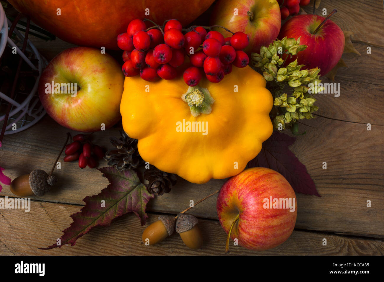 Harvest concept with yellow squash vegetable, rowan berries, apples and ...