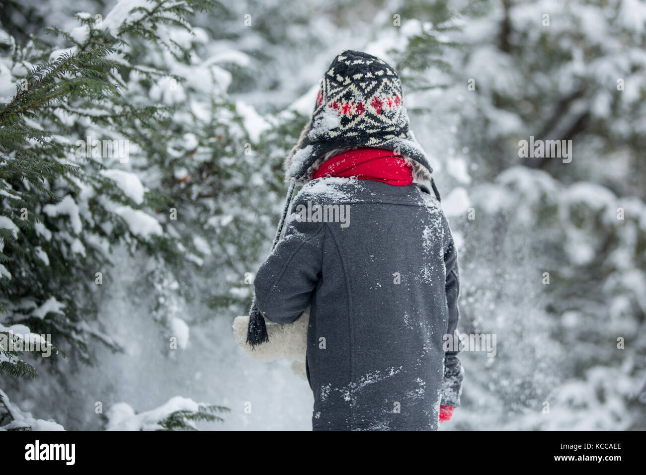 Sad lost child, boy in a forest with teddy bear, wintertime in the snow ...