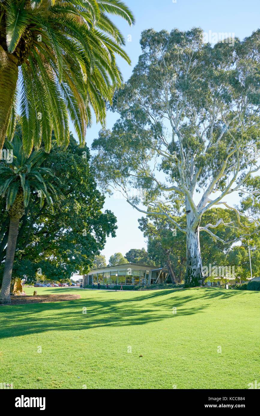 Australian Parks and Gardens Perth Stock Photo - Alamy