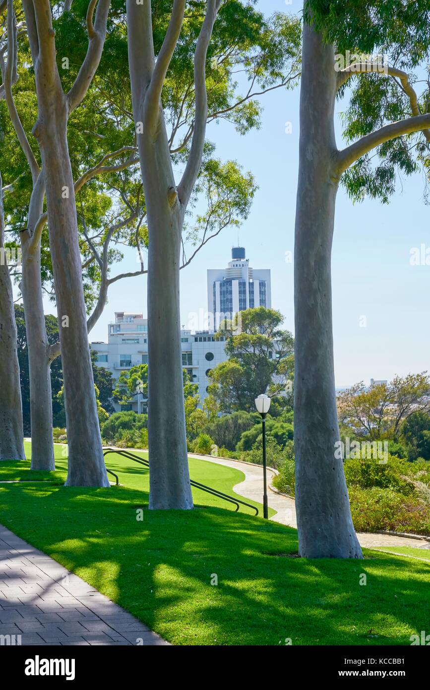 Australian Parks and Gardens Perth Stock Photo - Alamy