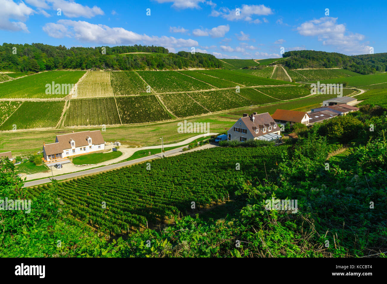 Chablis france vineyard hi-res stock photography and images - Alamy