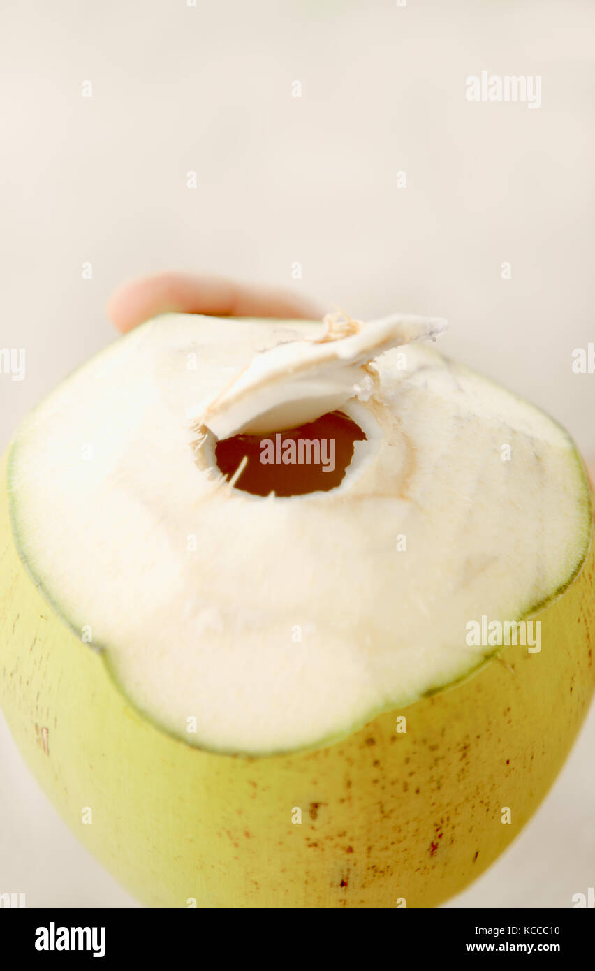 Coconut with coconut water, Bahia, Brazil, South America Stock Photo ...