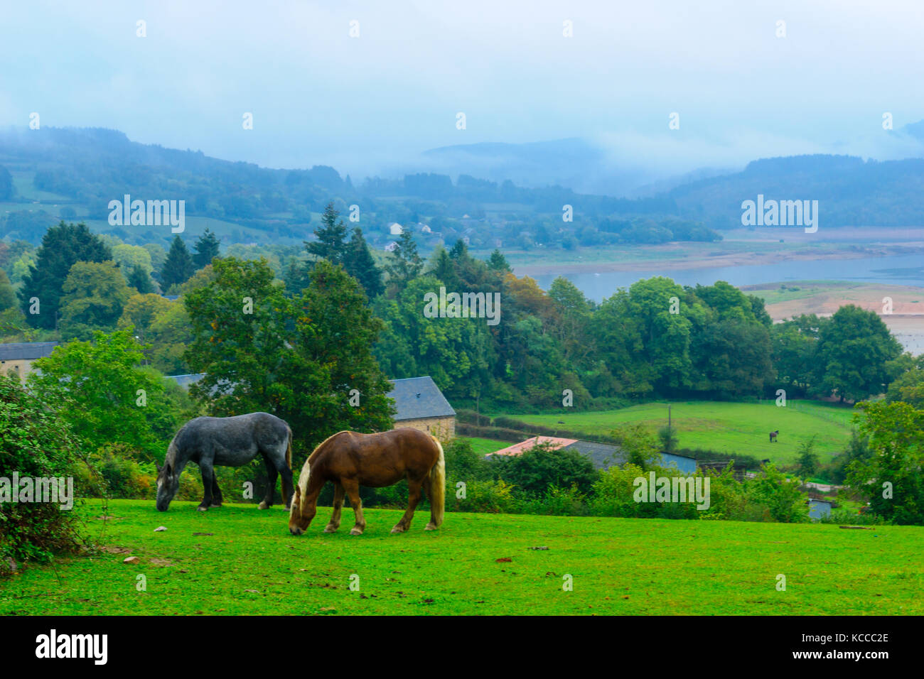 Countryside and horses in the Morvan Mountains, in Burgundy, France ...