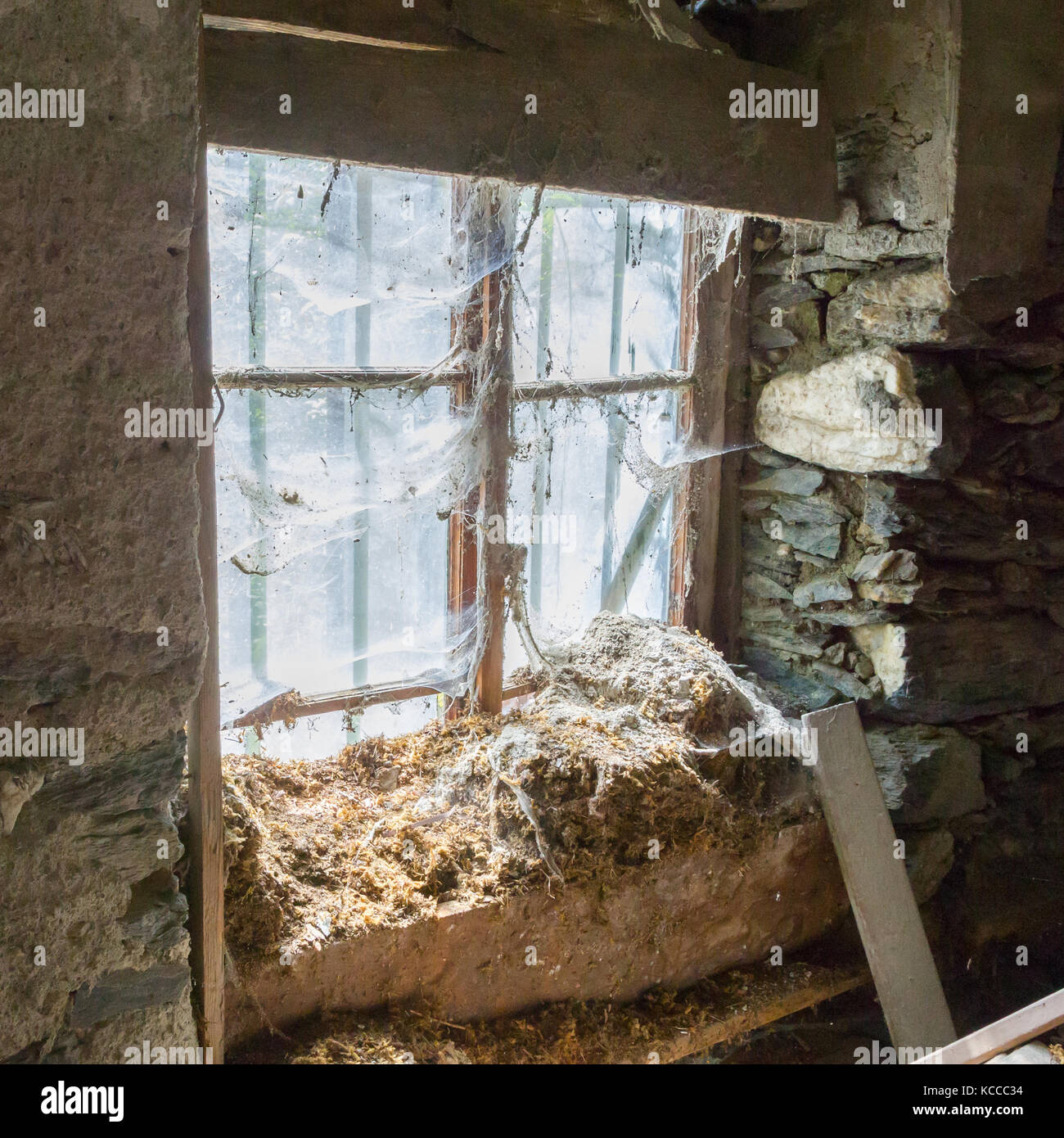 House in decay - Rotten interior, house in Austria Stock Photo - Alamy