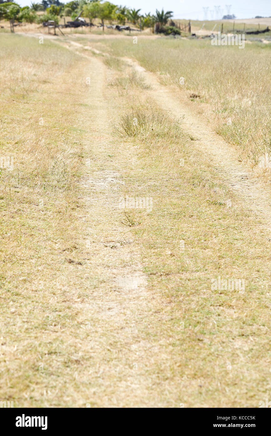 Car tracks cutting through a field of grass Stock Photo - Alamy