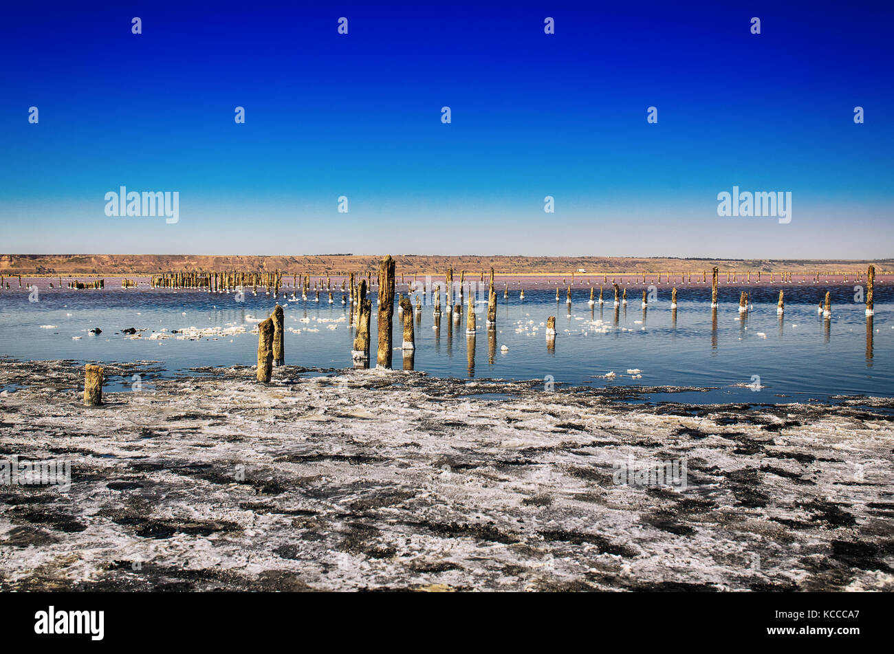 Beautiful salt lake Stock Photo - Alamy