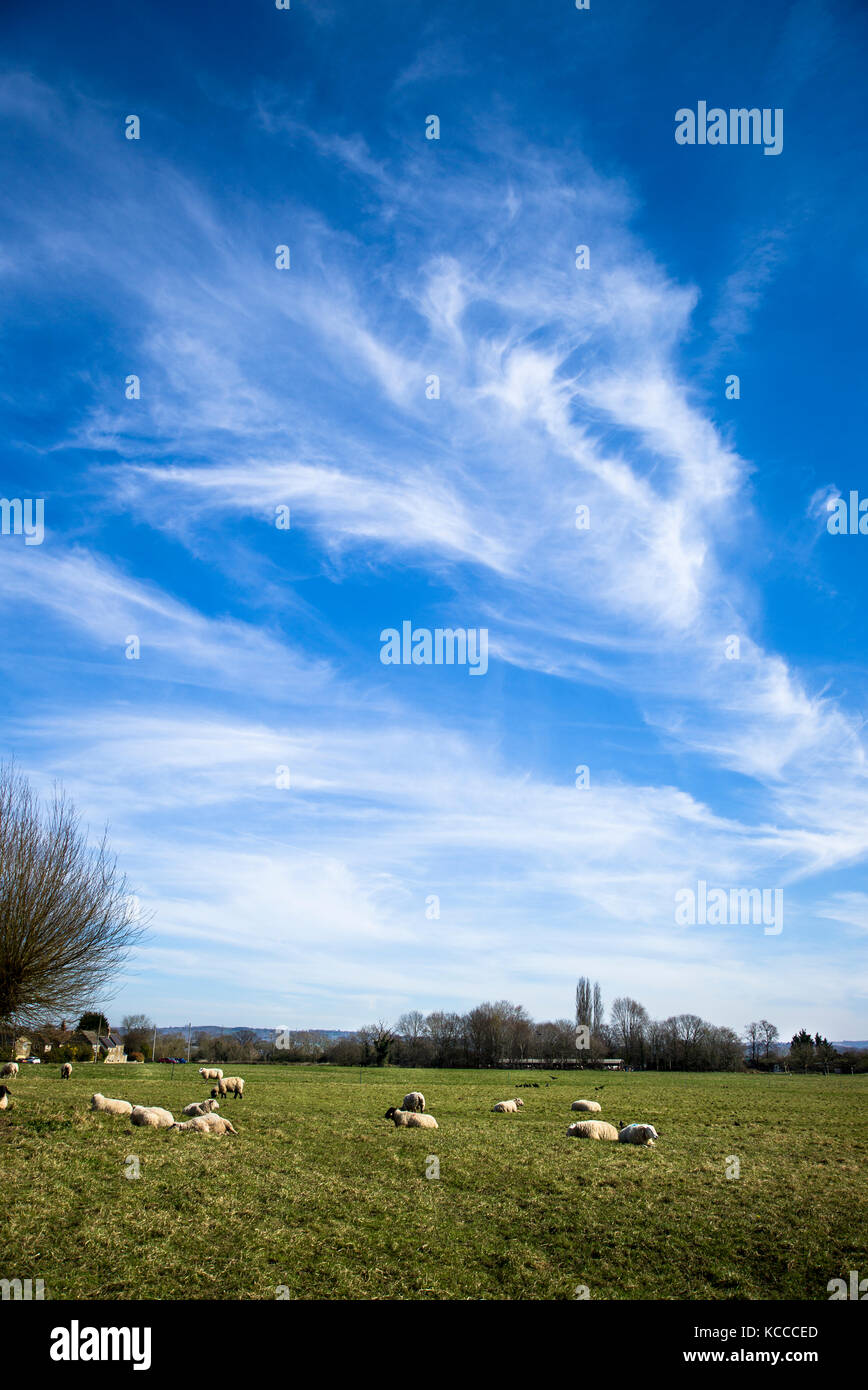 Broughton gifford hi-res stock photography and images - Alamy