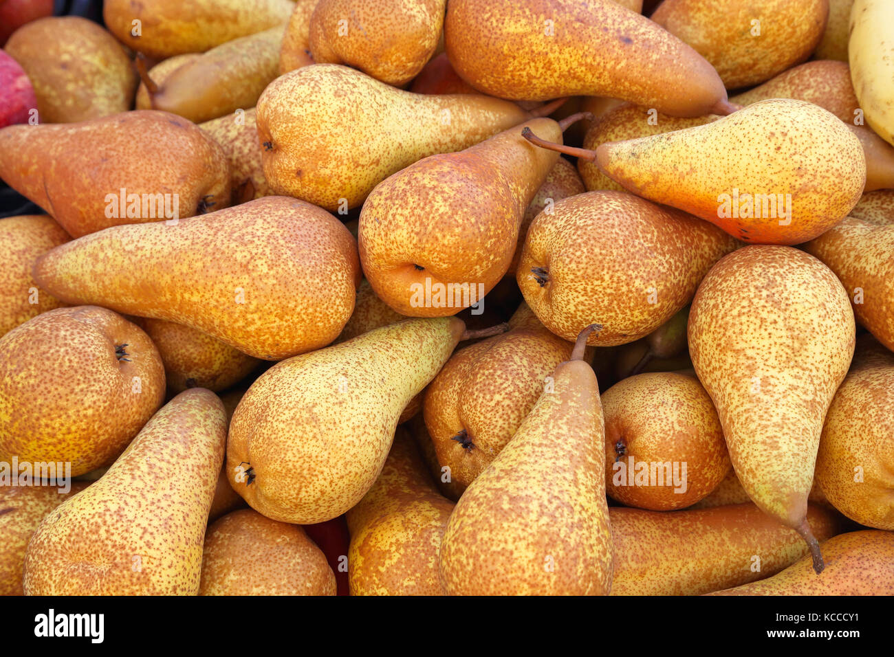 Big Bunch of Pears Fruits Stock Photo - Alamy